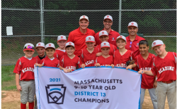 Reading Little League (MA) > Home