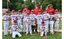 Reading Little League (MA) > Home